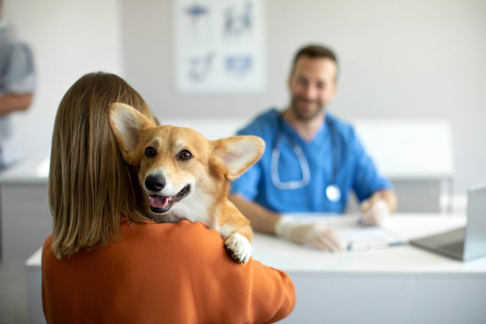 Veterinary Clinic Jobs | The VET Recruiter Executive Search Firm